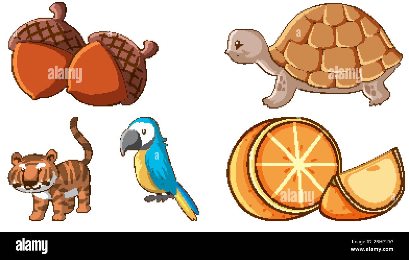 Large set of different animals and other objects on white background ...