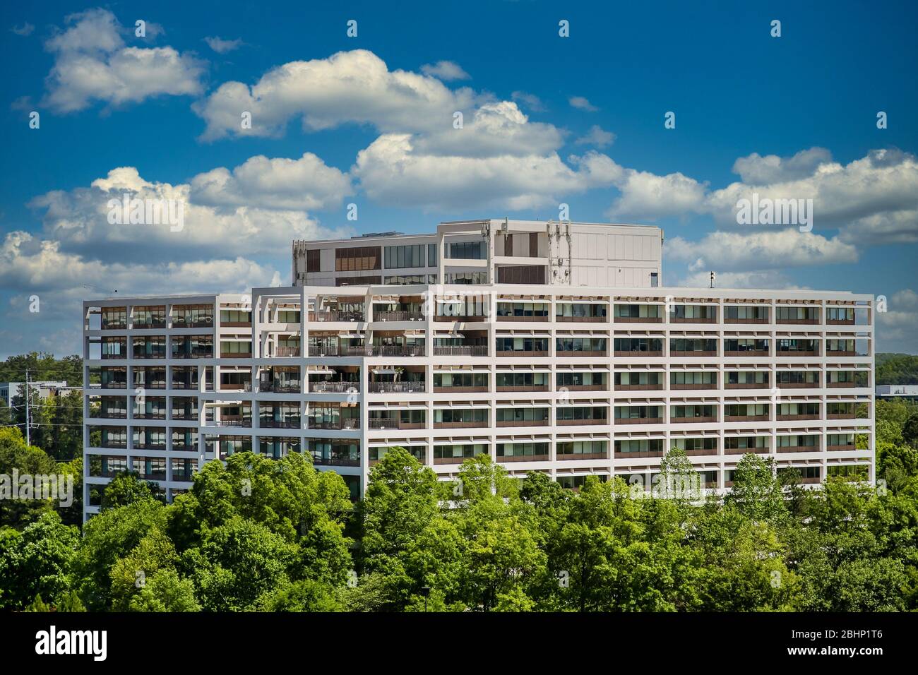 White Office Building Rising from Trees Stock Photo - Alamy