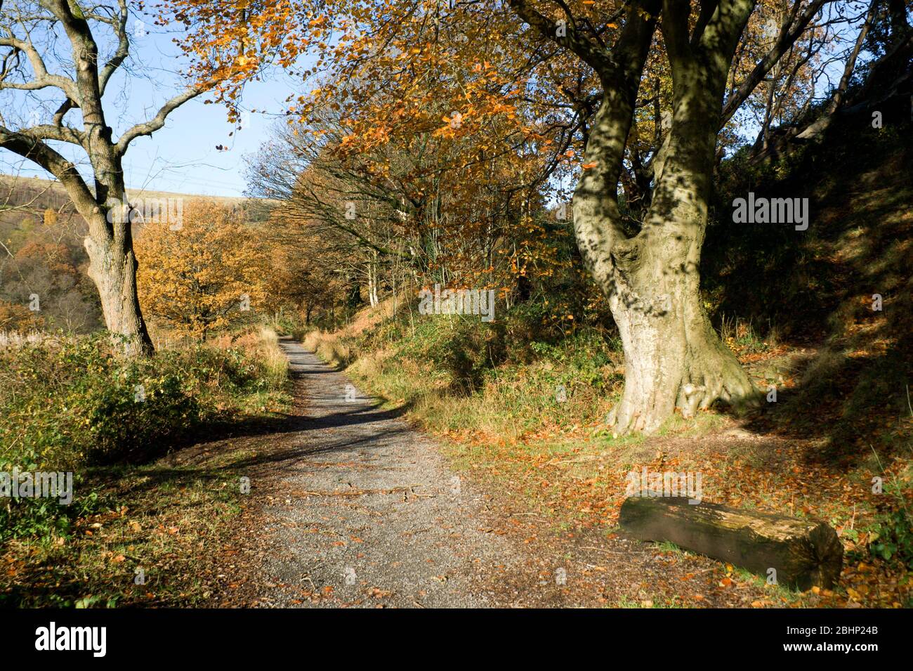 Taff trail hi-res stock photography and images - Alamy