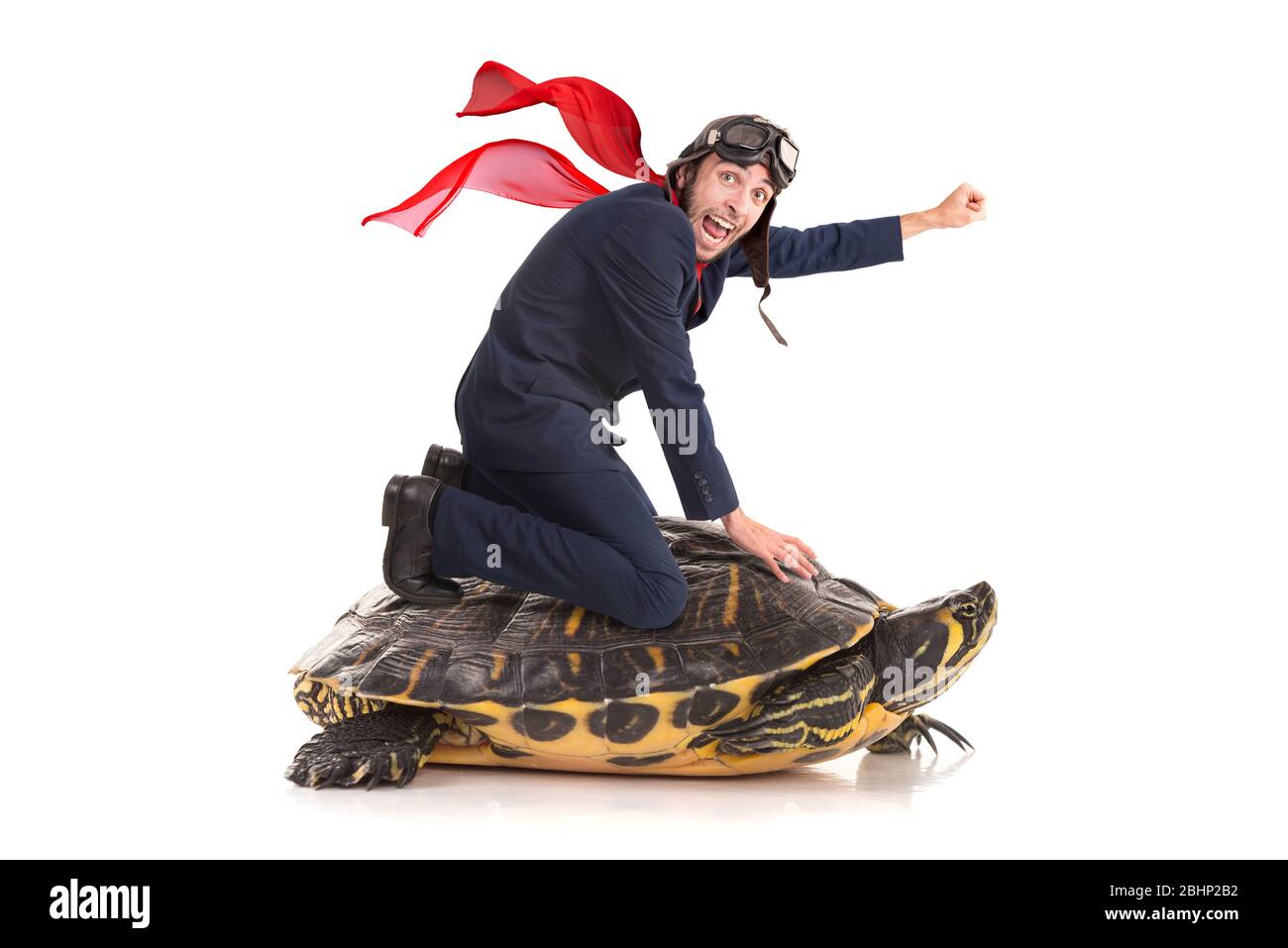 Businessman riding a turtle isolated in a white background Stock Photo ...