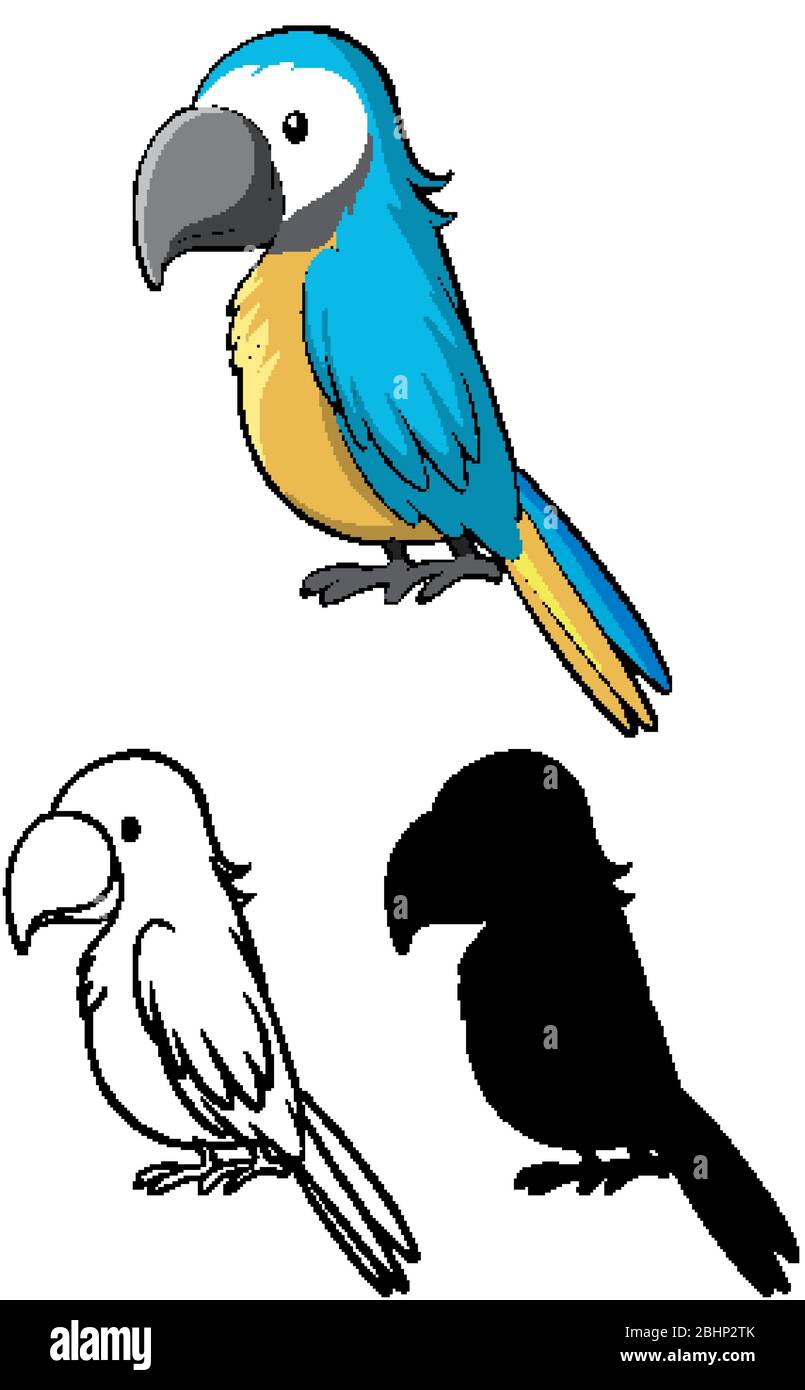 Set of parrot cartoon illustration Stock Vector Image & Art - Alamy