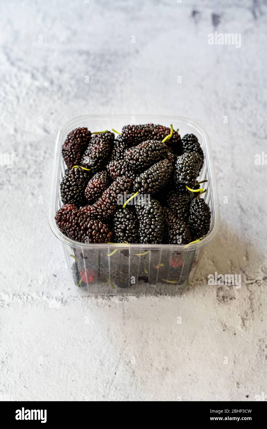 Organic Dark Black Ripe Mulberries in Plastic Box Package for Sale ...