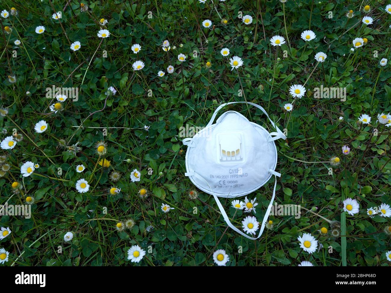 Covid19 mask on a green lawn with daisies Stock Photo - Alamy