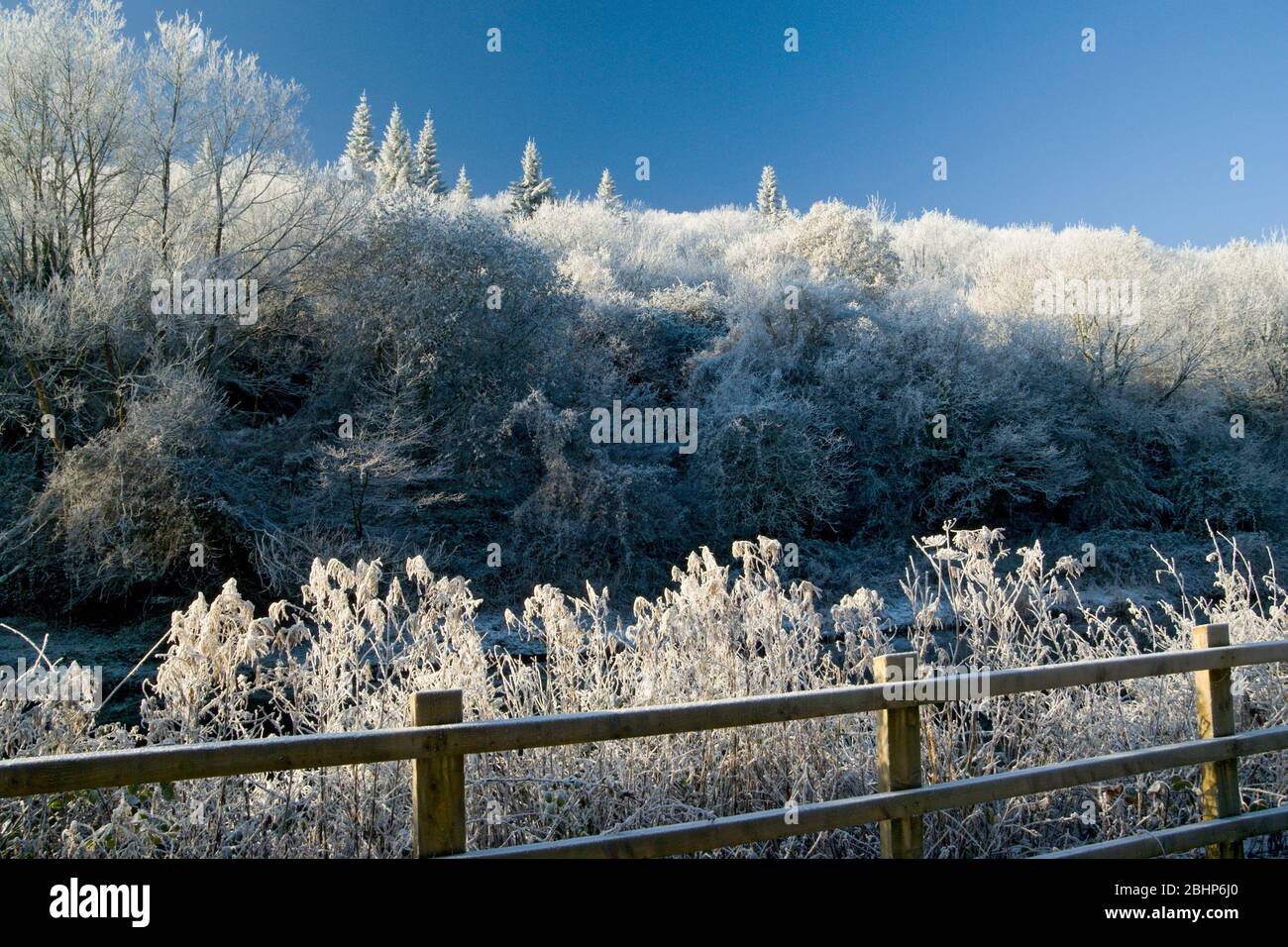 Ely river scene hi-res stock photography and images - Alamy