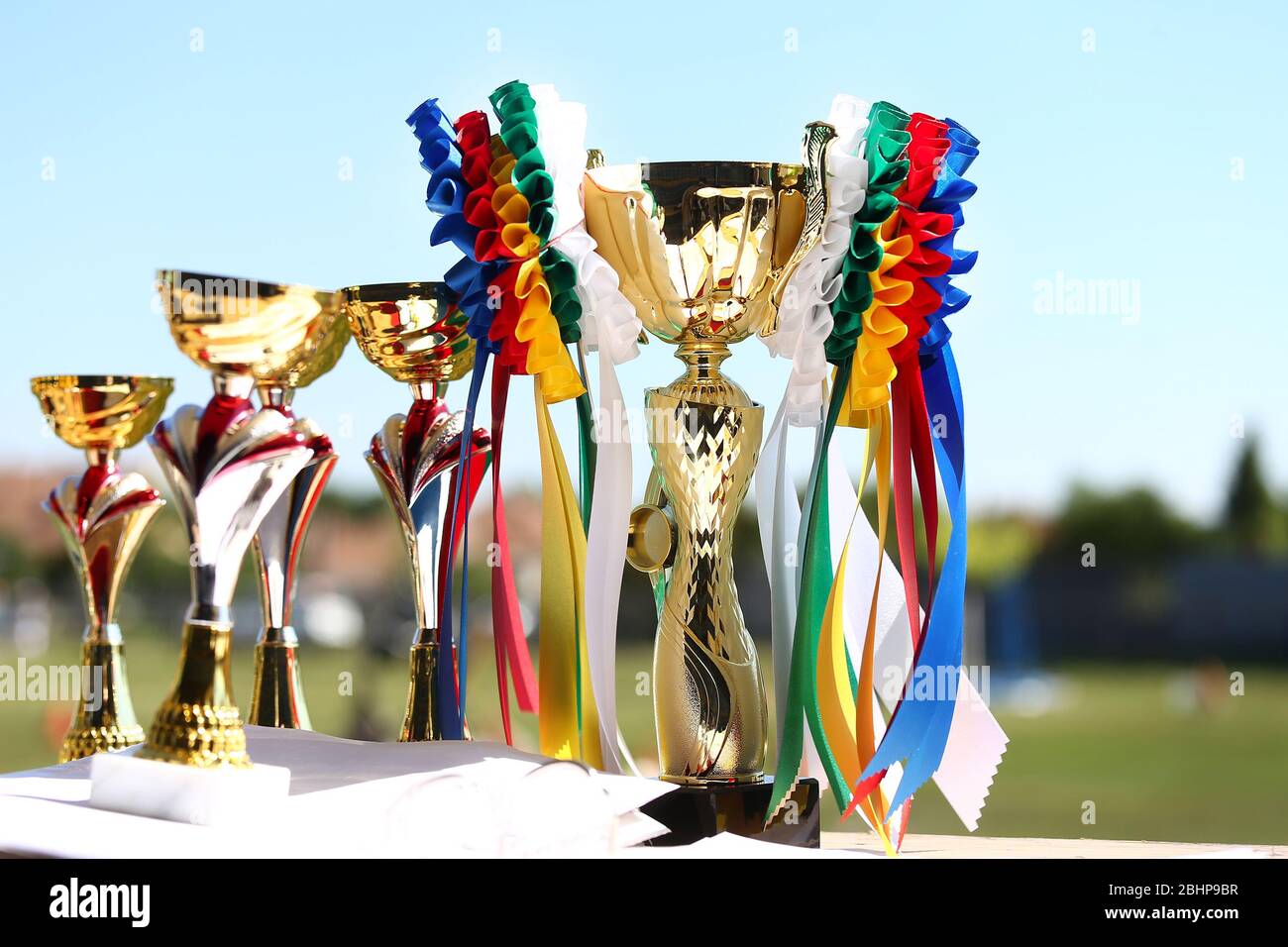 Group of horse riding equestrian sport trophies awards at equestrian ...