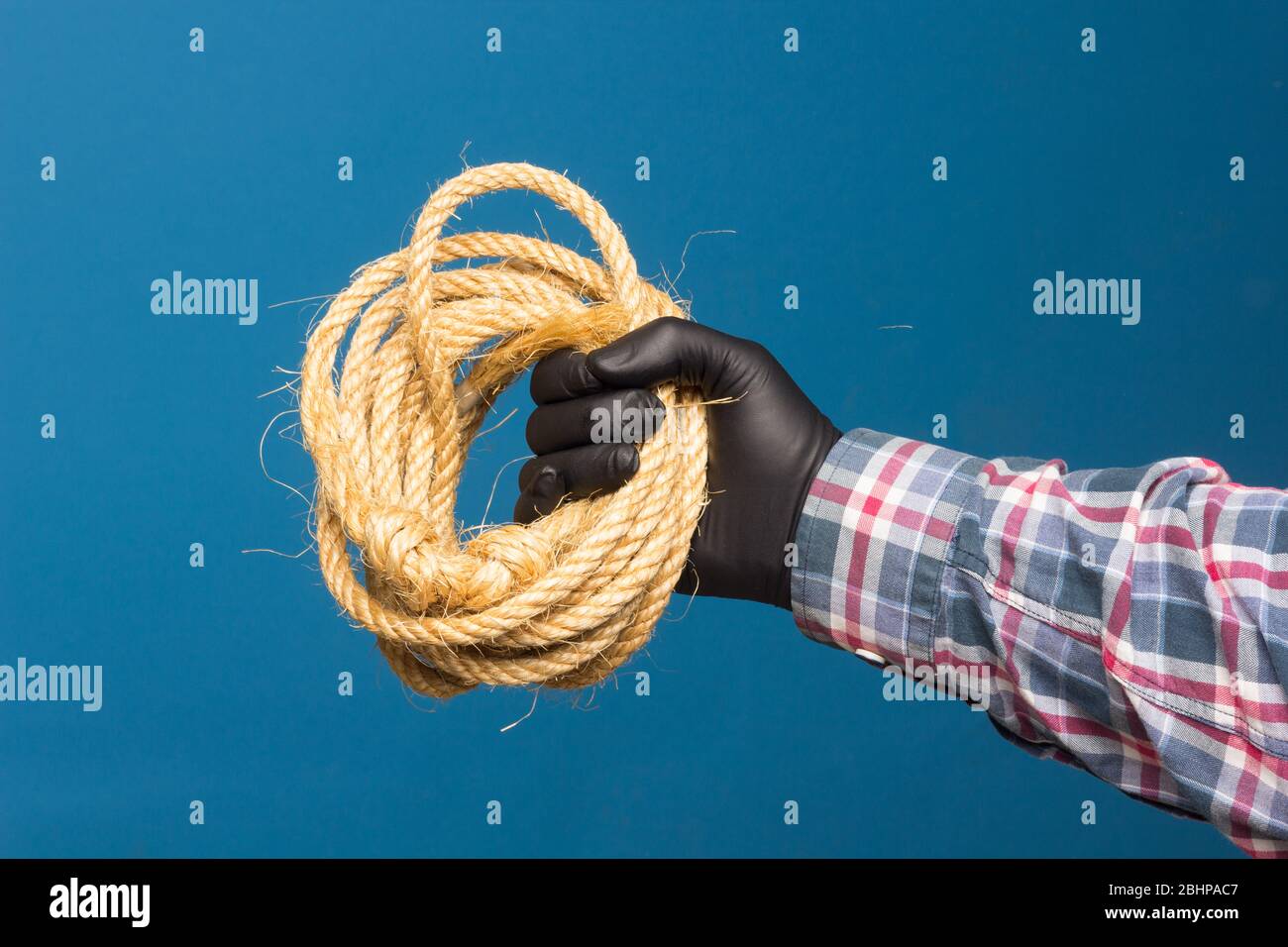 Scapula pig hi-res stock photography and images - Alamy