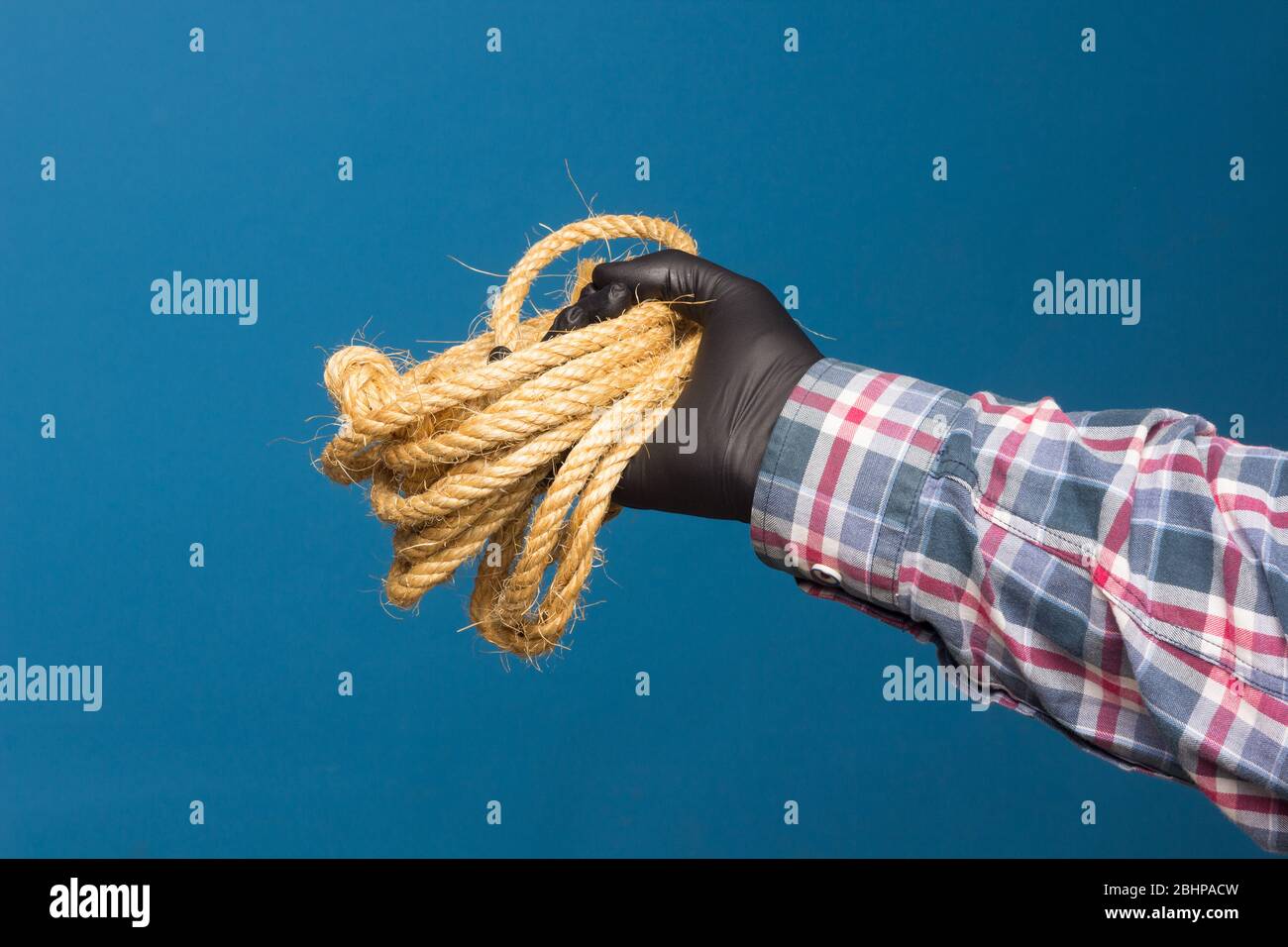 Scapula pig hi-res stock photography and images - Alamy