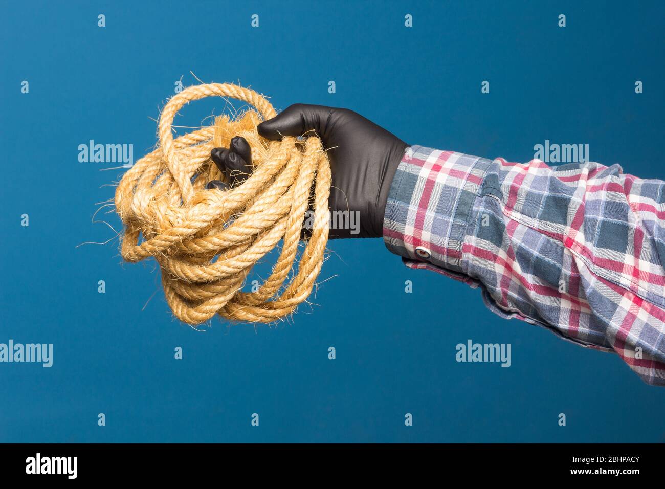 Scapula pig hi-res stock photography and images - Alamy