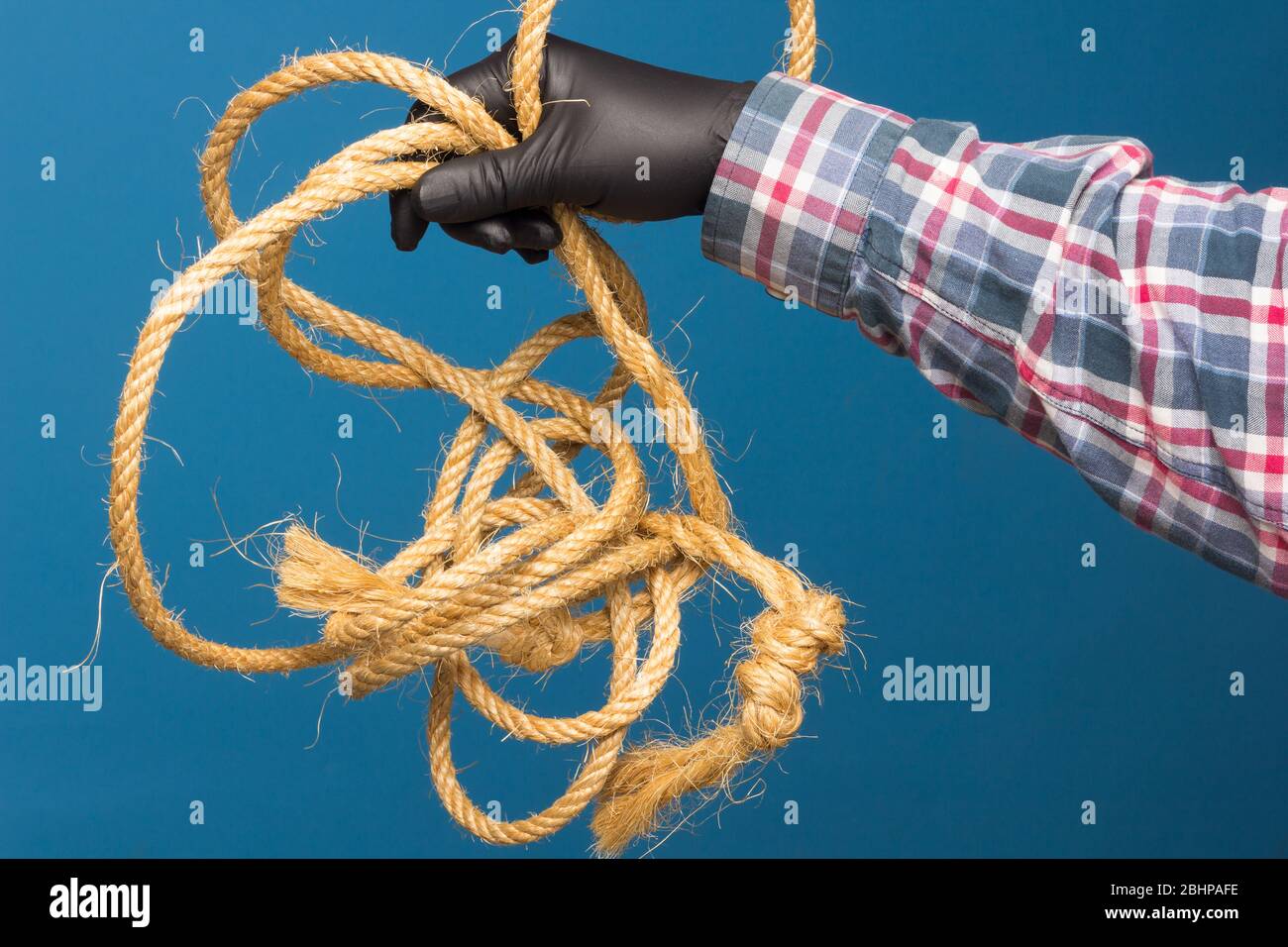 Scapula in hand hi-res stock photography and images - Alamy