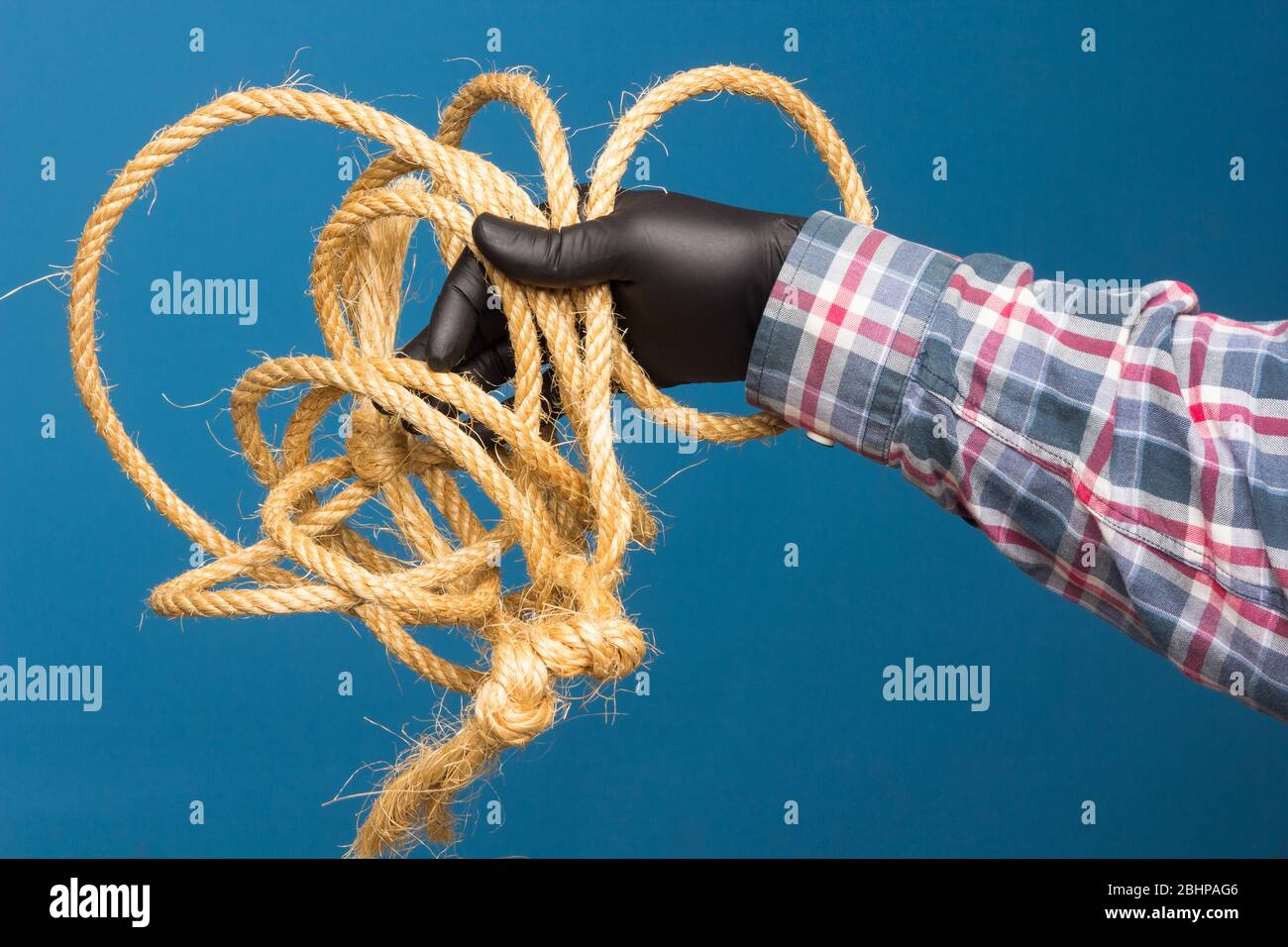 Scapula pig hi-res stock photography and images - Alamy