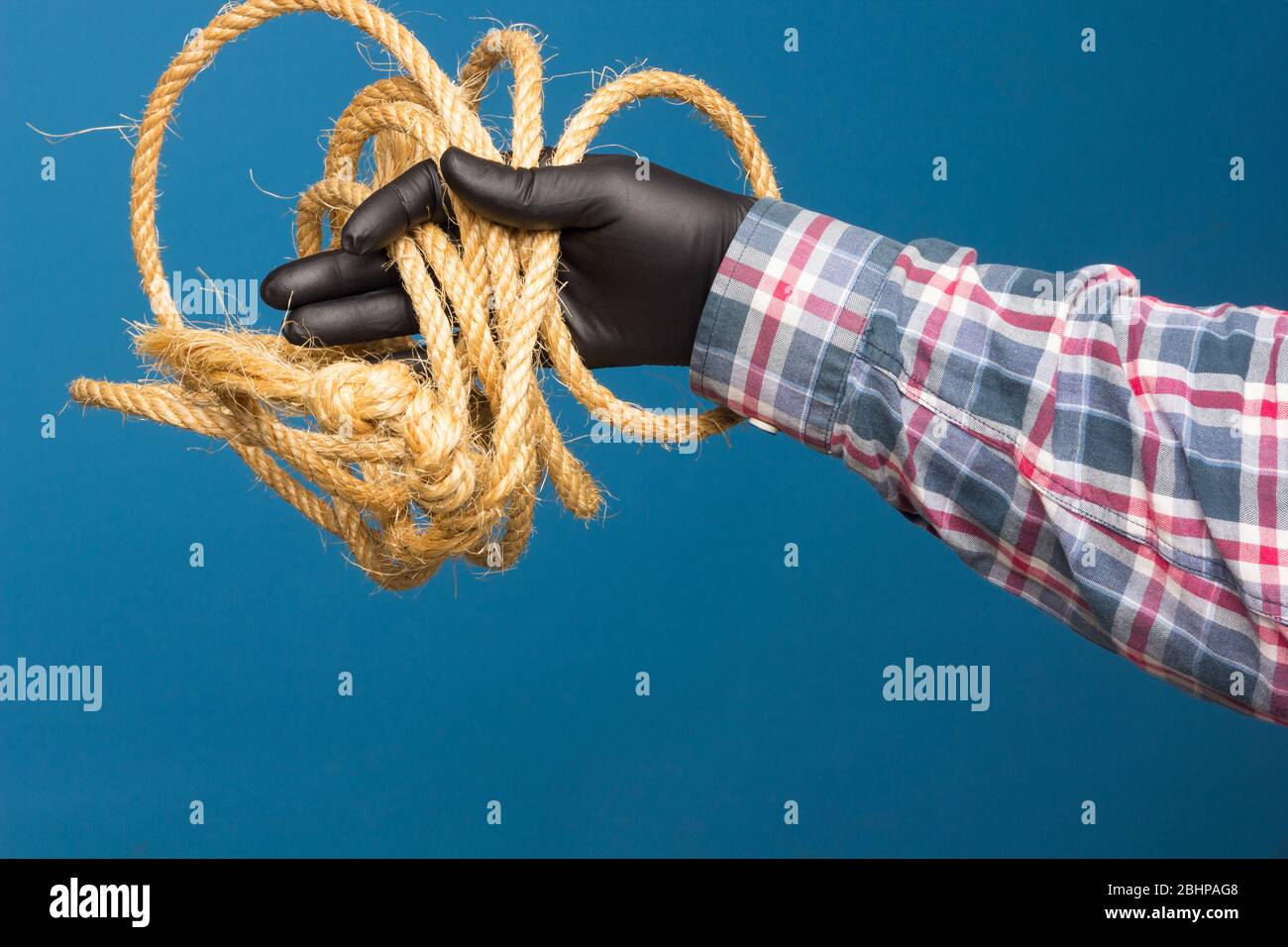 Scapula pig hi-res stock photography and images - Alamy