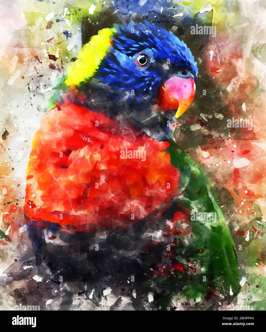 Beautiful big parrot hi-res stock photography and images - Alamy