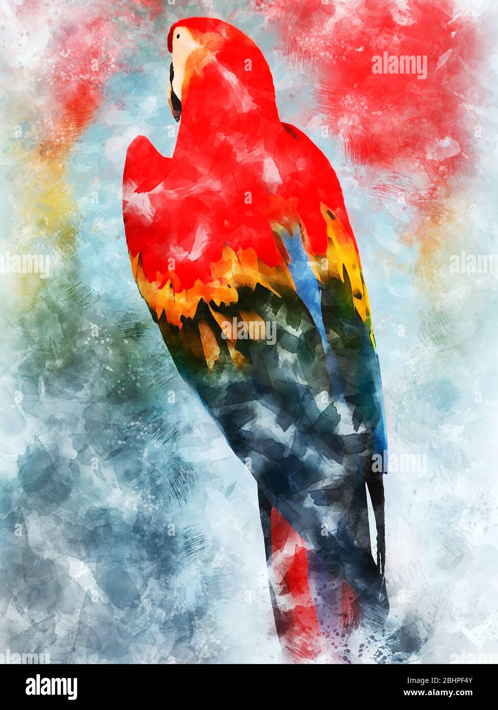 Beautiful big parrot hi-res stock photography and images - Alamy