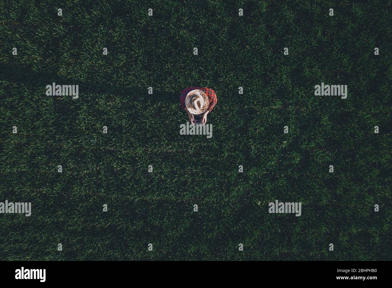 Wheat farmer using drone remote controller in wheatgrass field. Aerial ...