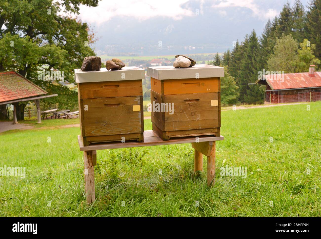 bee houses on a german mountain alm Stock Photo - Alamy