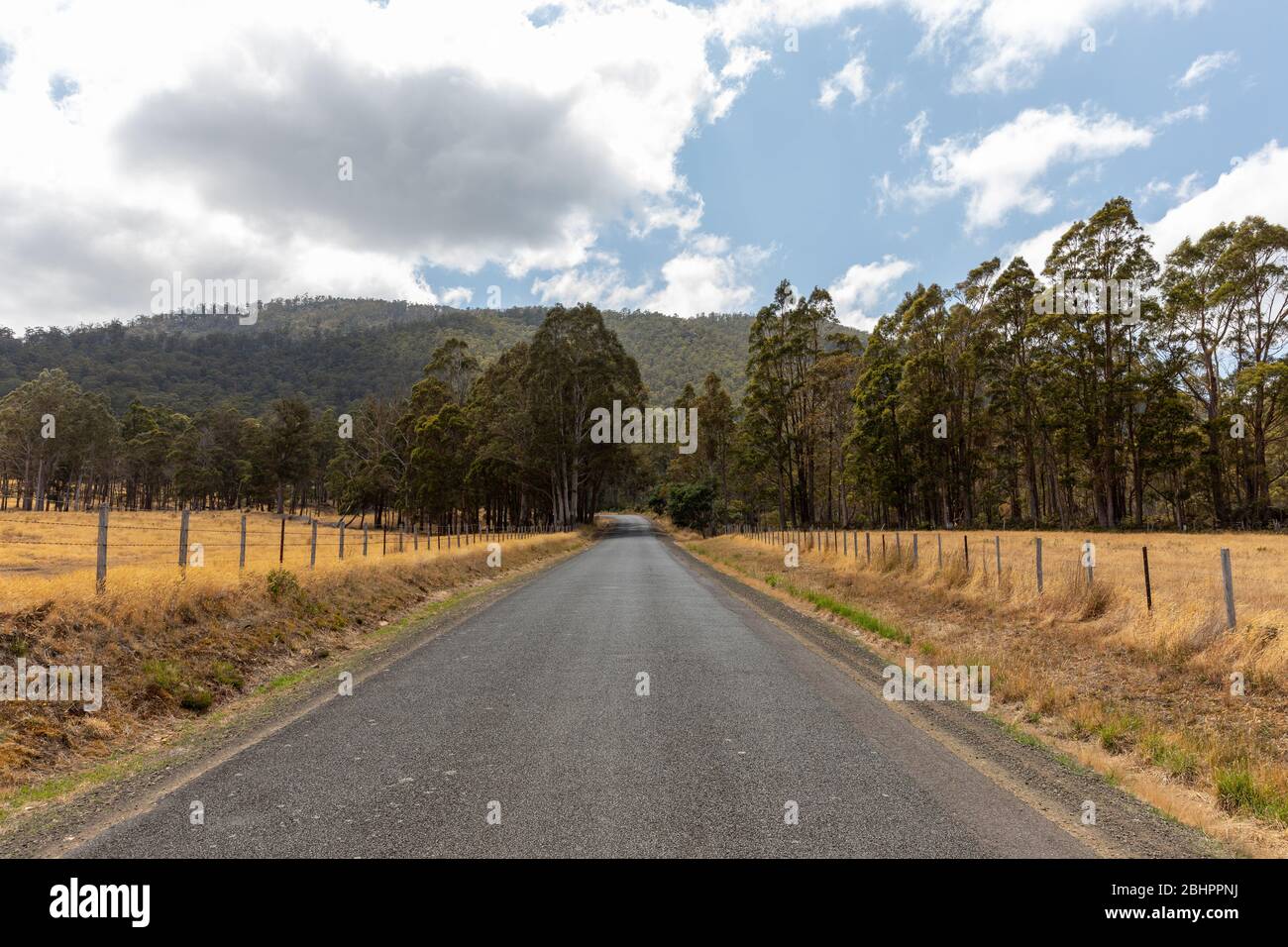Road stretching through the Tasmanian countryside Stock Photo - Alamy