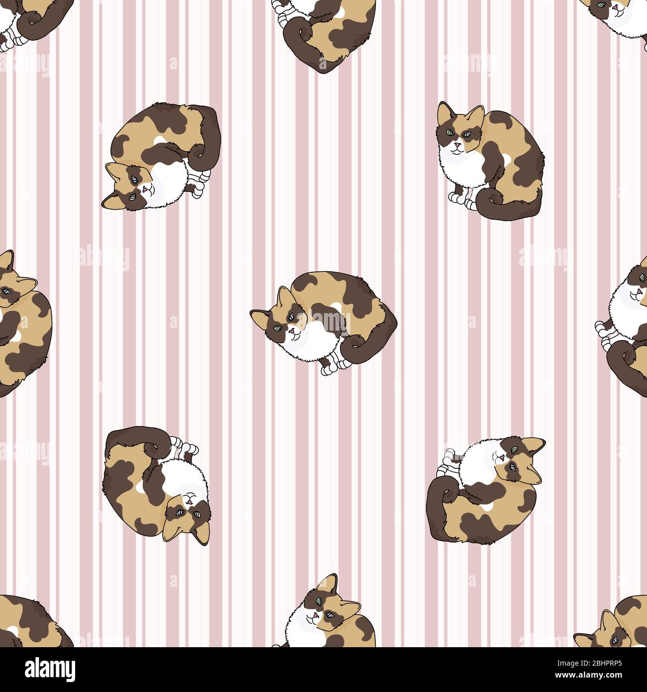 Cute cartoon tortoiseshell cat seamless vector pattern. Pedigree kitty ...