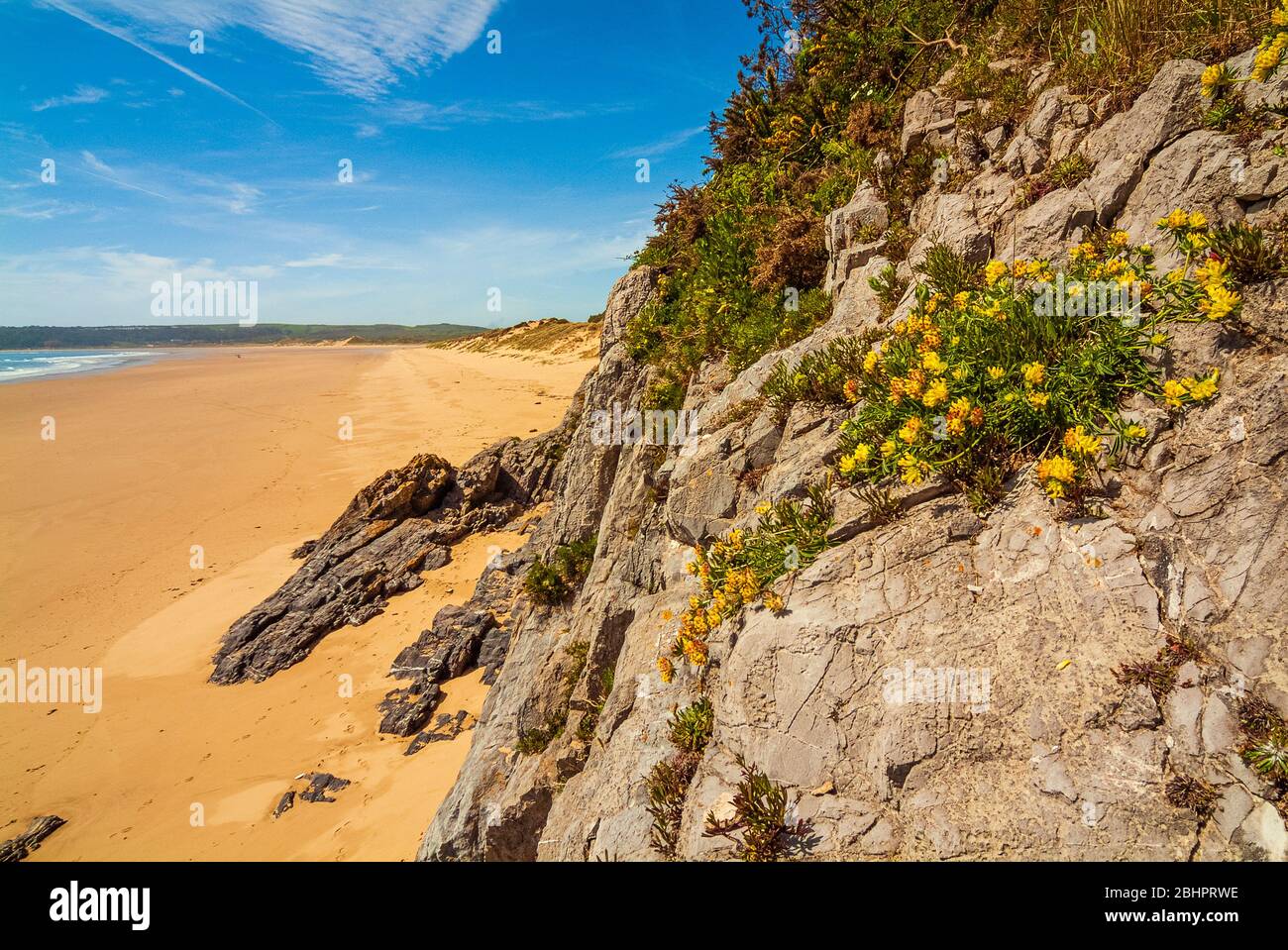 Oxwich Bay in the Gower Peninsula South Wales Stock Photo - Alamy