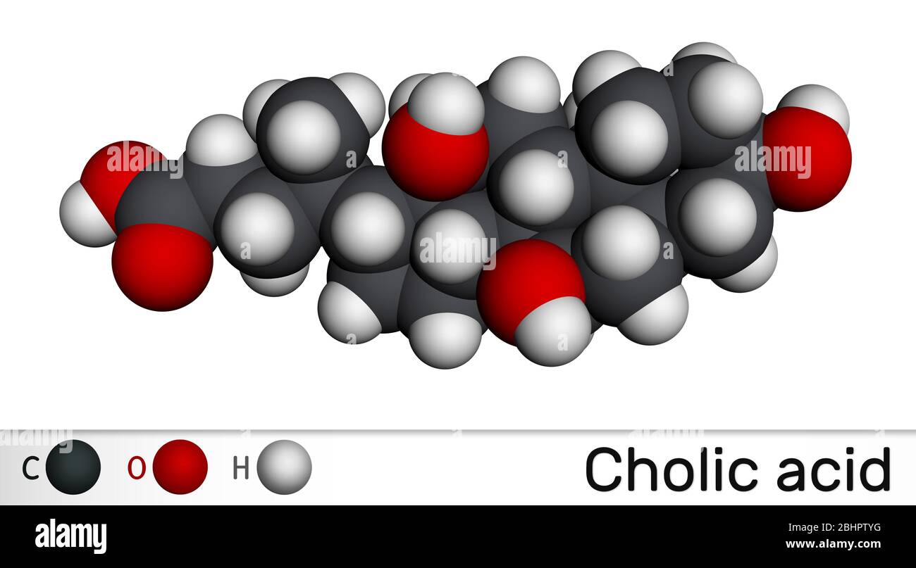 Cholic acid bile acid molecule hi-res stock photography and images - Alamy