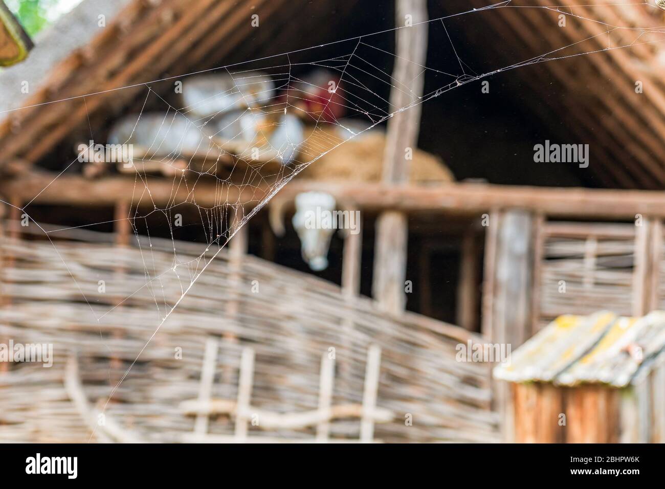 Spider village hi-res stock photography and images - Alamy