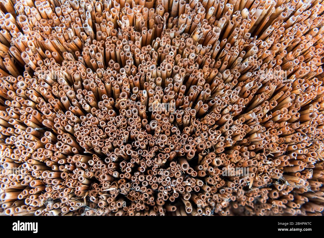 Dry straw bundle as texture or background Stock Photo - Alamy