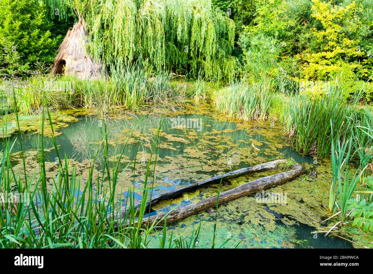 A hut in forest, old vintage hut as a first people house Stock Photo ...