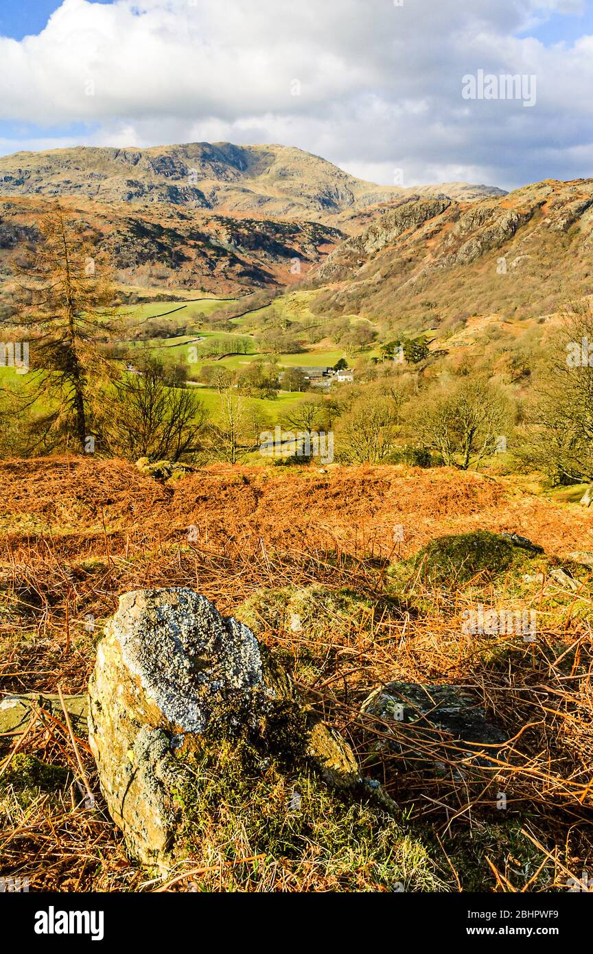 Yewdale and Wetherlam from Tarn Hows Intake, near Coniston in the Lake ...