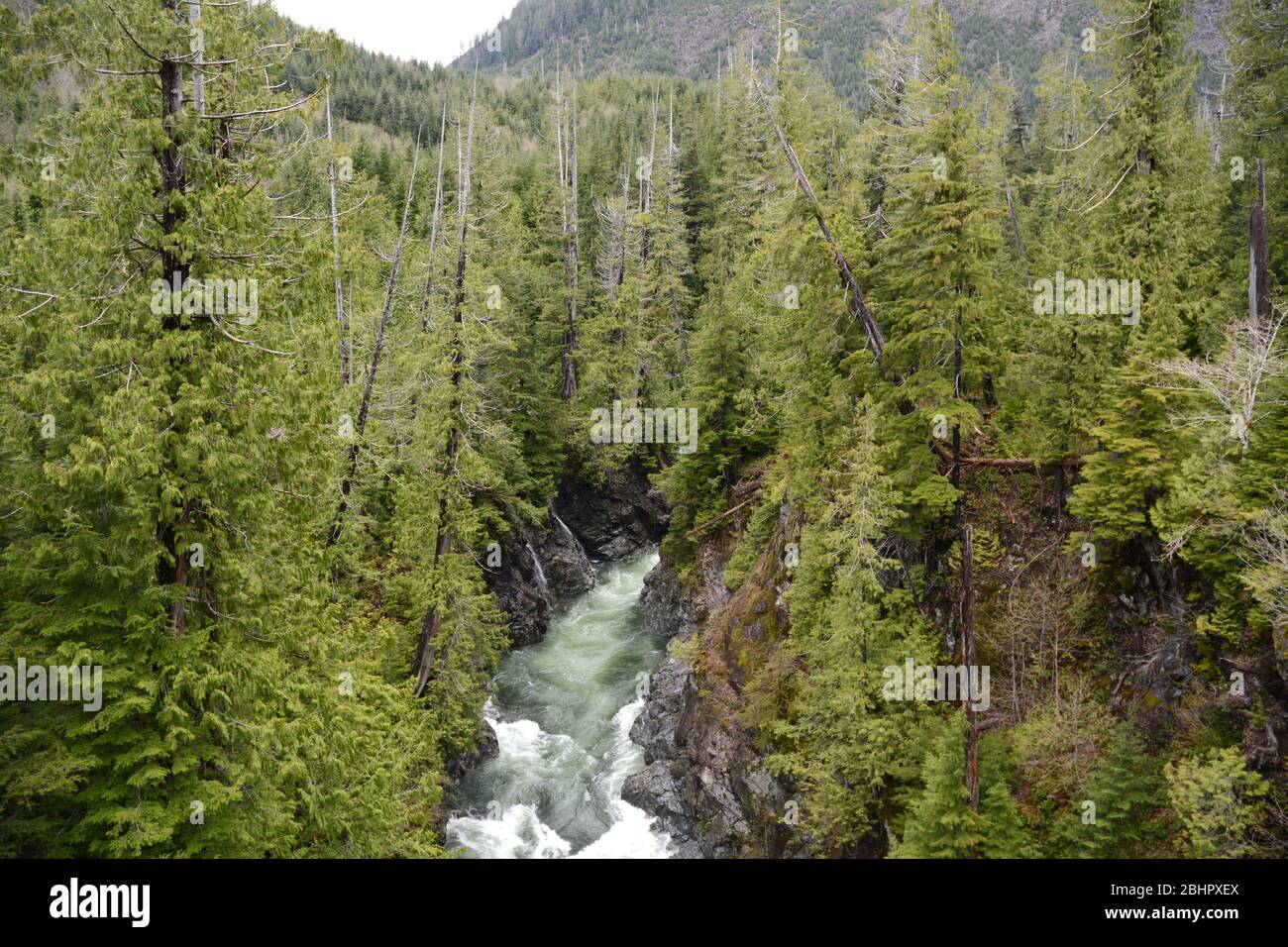 Gordon river hi-res stock photography and images - Alamy
