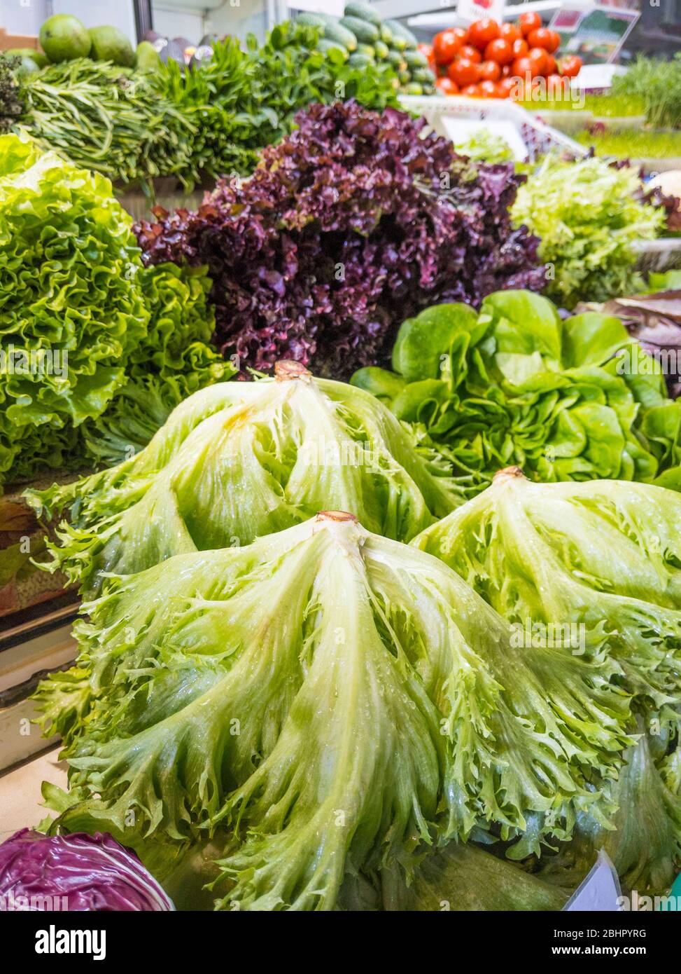 Fresh green and red organic salad leaves and greenery on the farmer ...