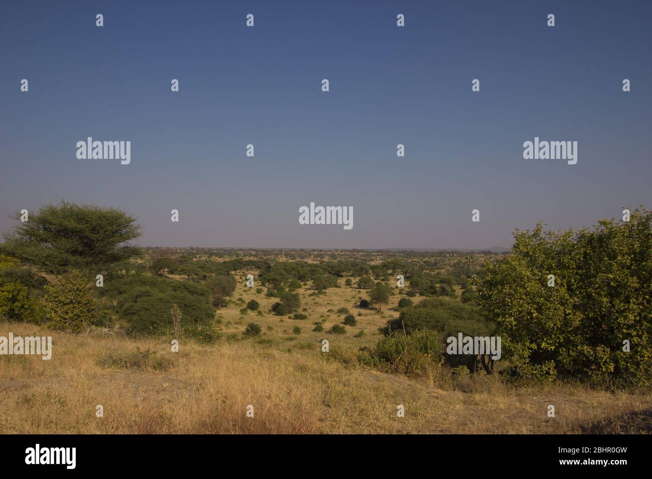 Plainland hi-res stock photography and images - Alamy