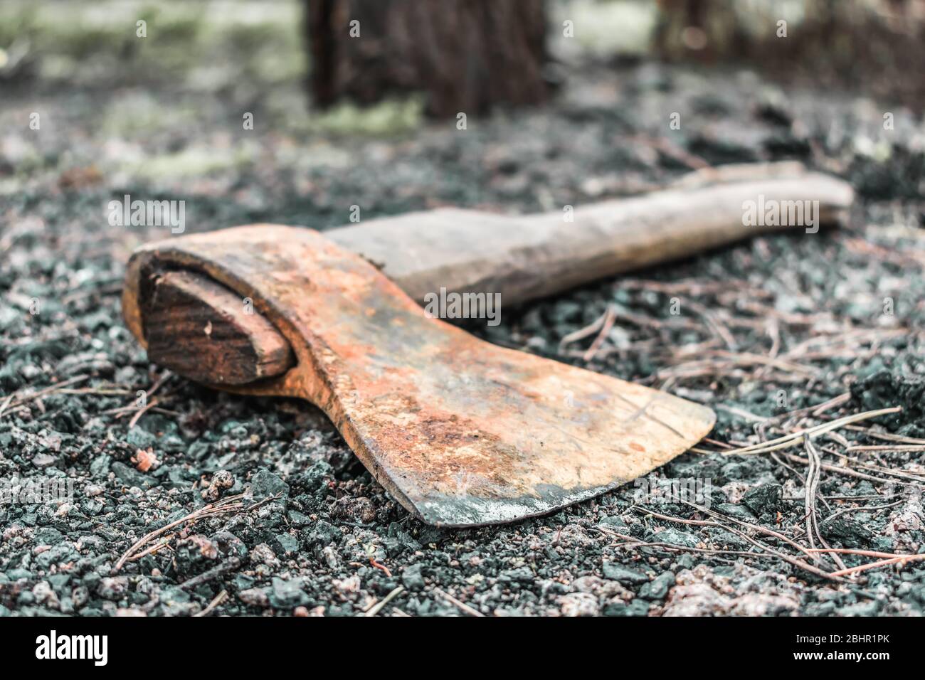 An old and rusty ax thrown somewhere in the forest and forgotten lies ...