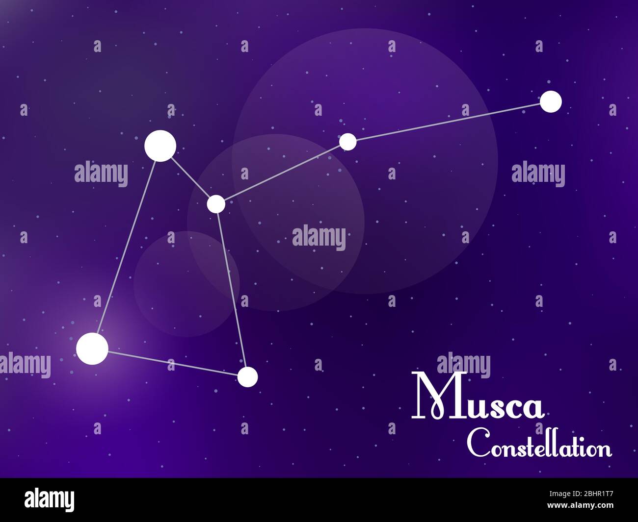 Musca Constellation