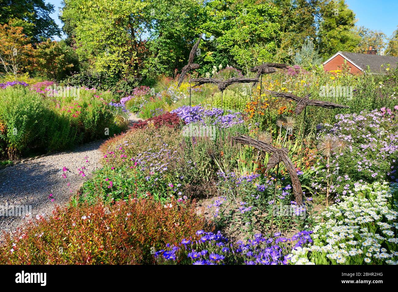 Carpet planting hi-res stock photography and images - Alamy