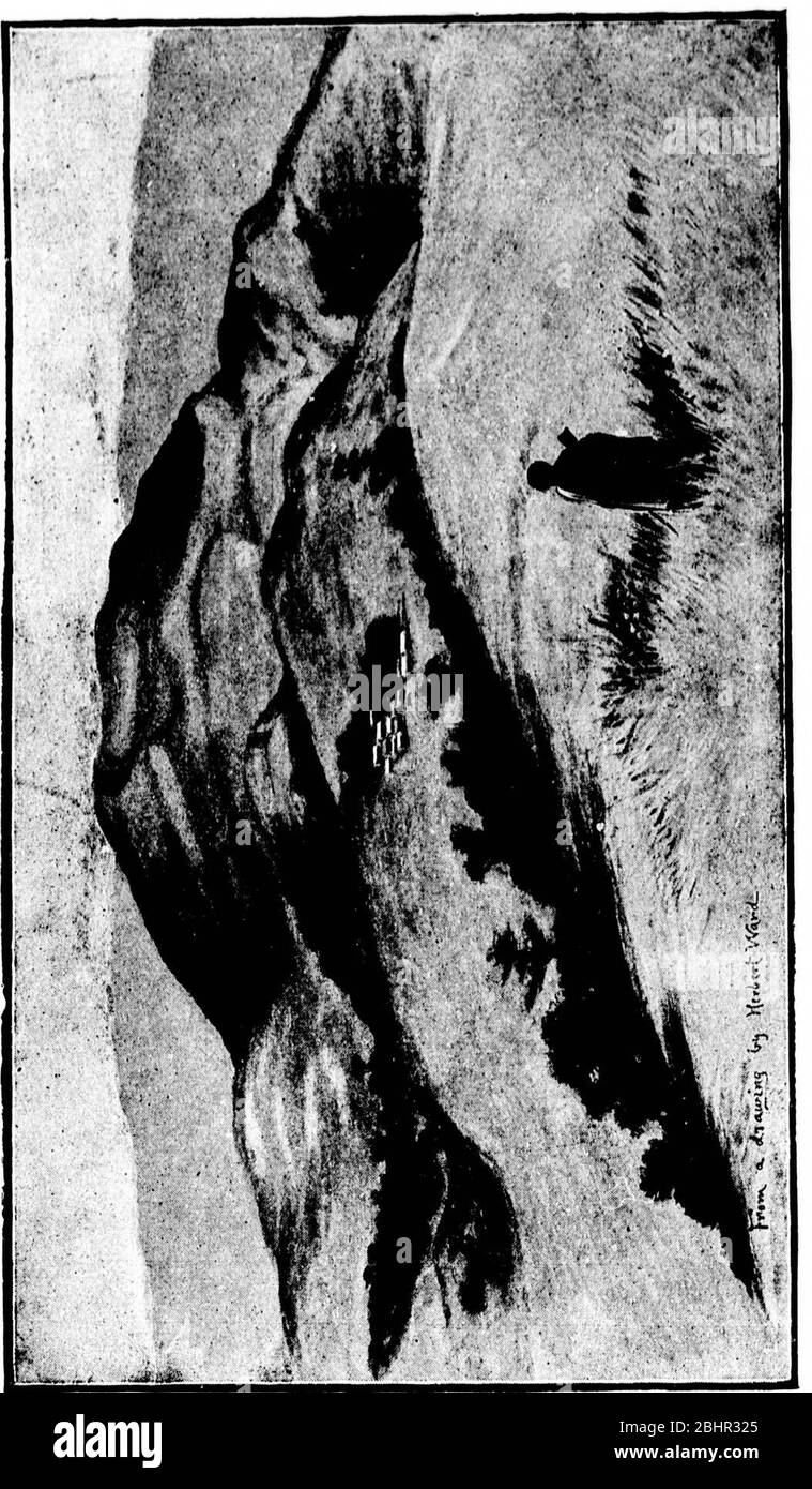 "The story of the rear column of the Emin Pasha relief expedition ...