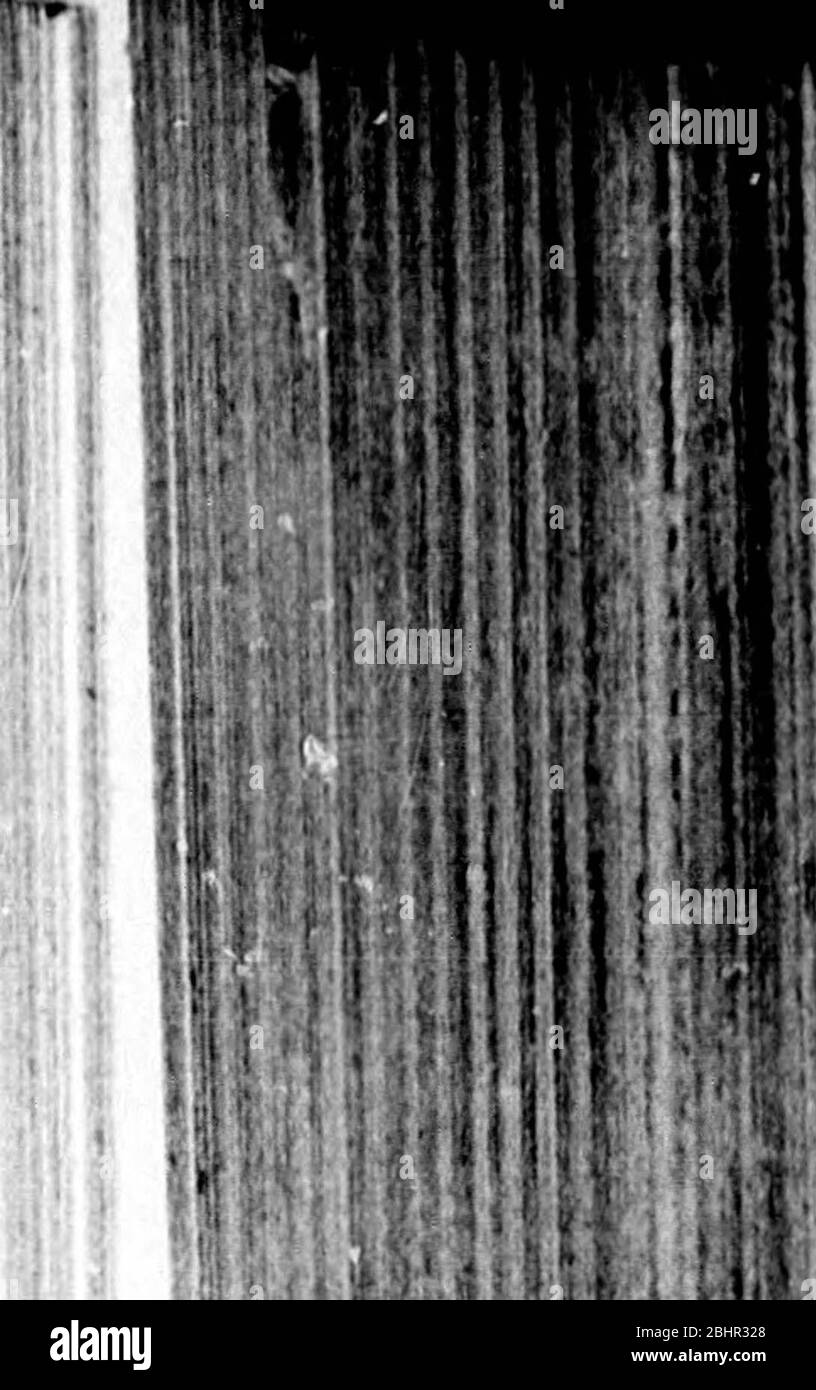 "The story of the rear column of the Emin Pasha relief expedition ...