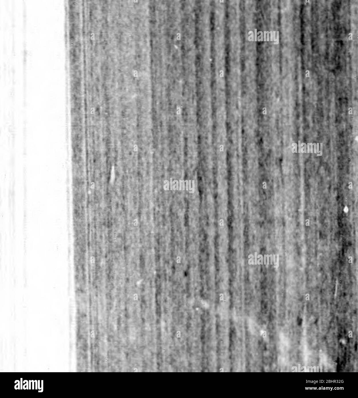 "The story of the rear column of the Emin Pasha relief expedition ...