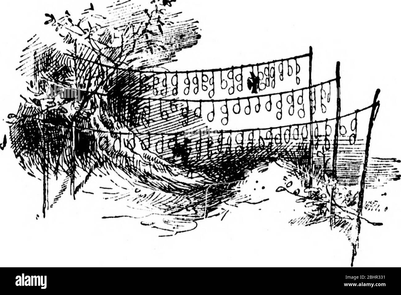 "The story of the rear column of the Emin Pasha relief expedition ...