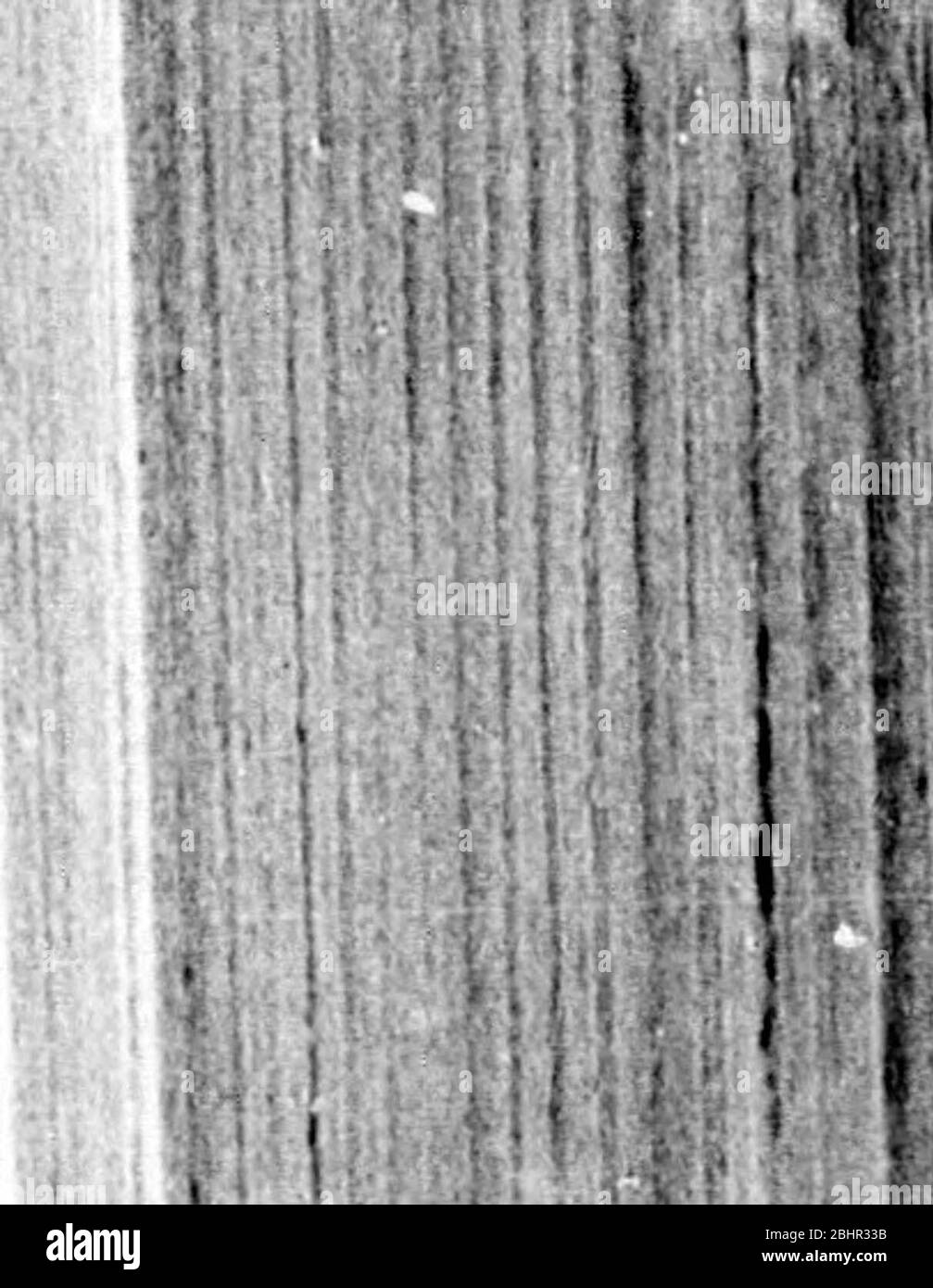 "The story of the rear column of the Emin Pasha relief expedition ...