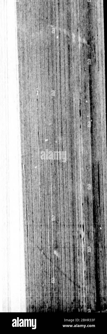 "The story of the rear column of the Emin Pasha relief expedition ...