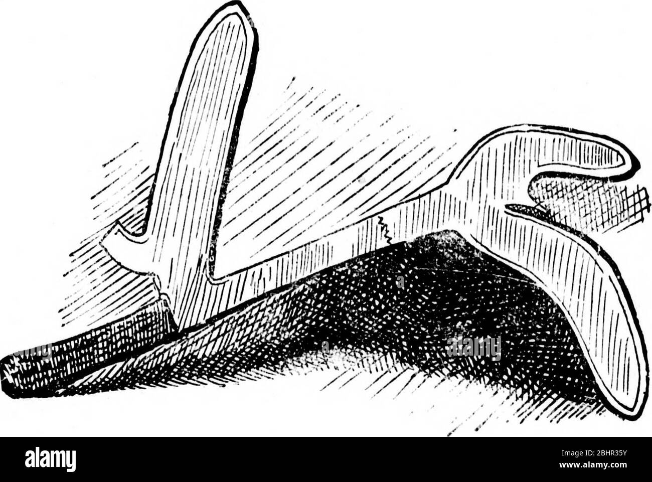 "The story of the rear column of the Emin Pasha relief expedition ...