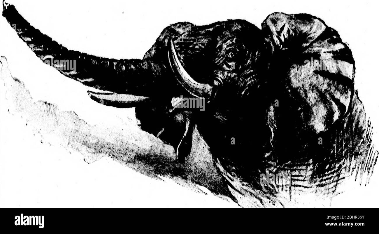 "The story of the rear column of the Emin Pasha relief expedition ...