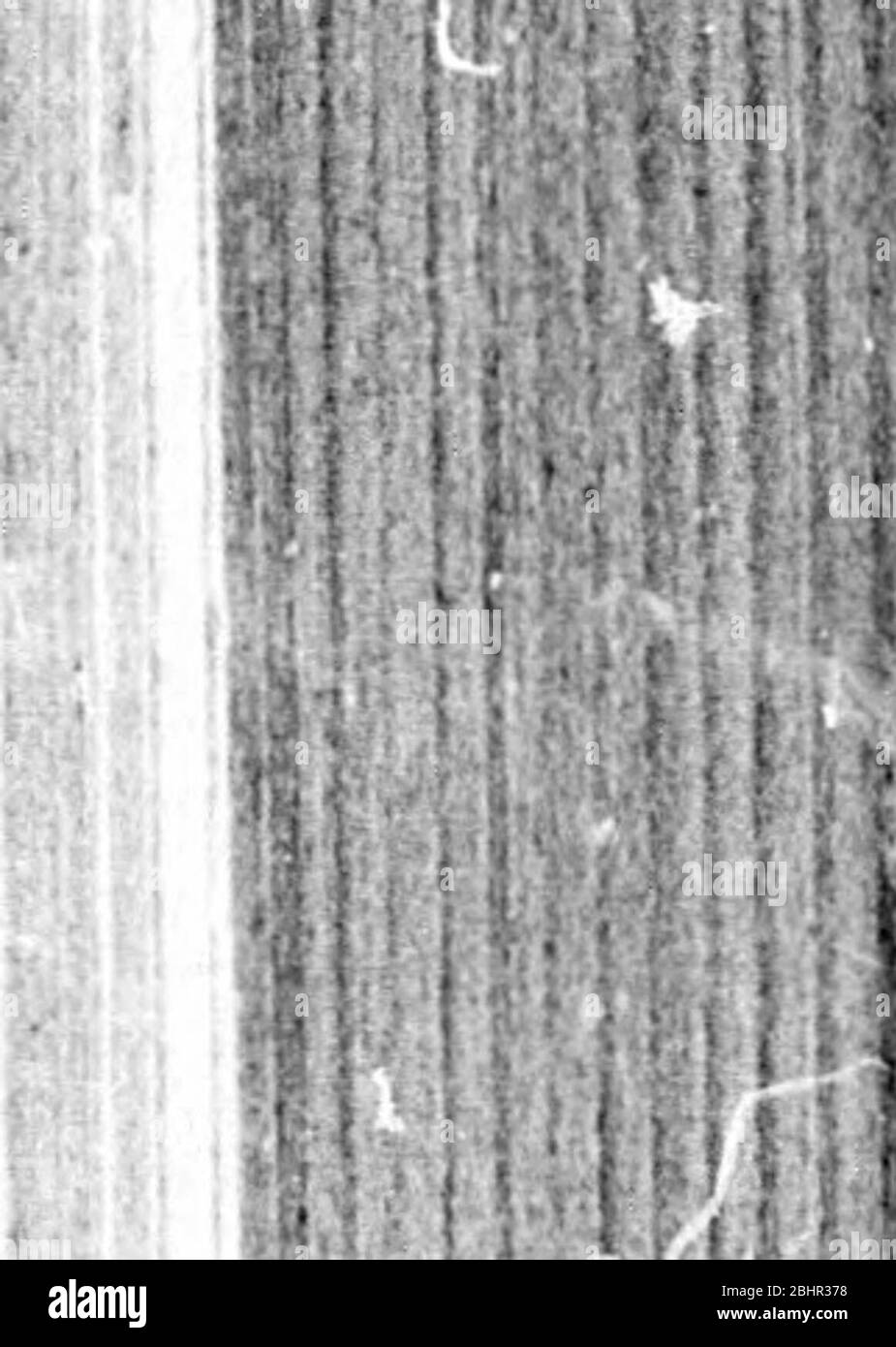 "The story of the rear column of the Emin Pasha relief expedition ...