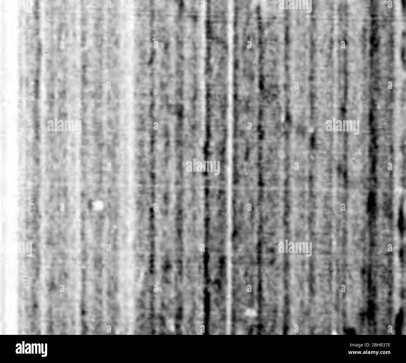 "The story of the rear column of the Emin Pasha relief expedition ...