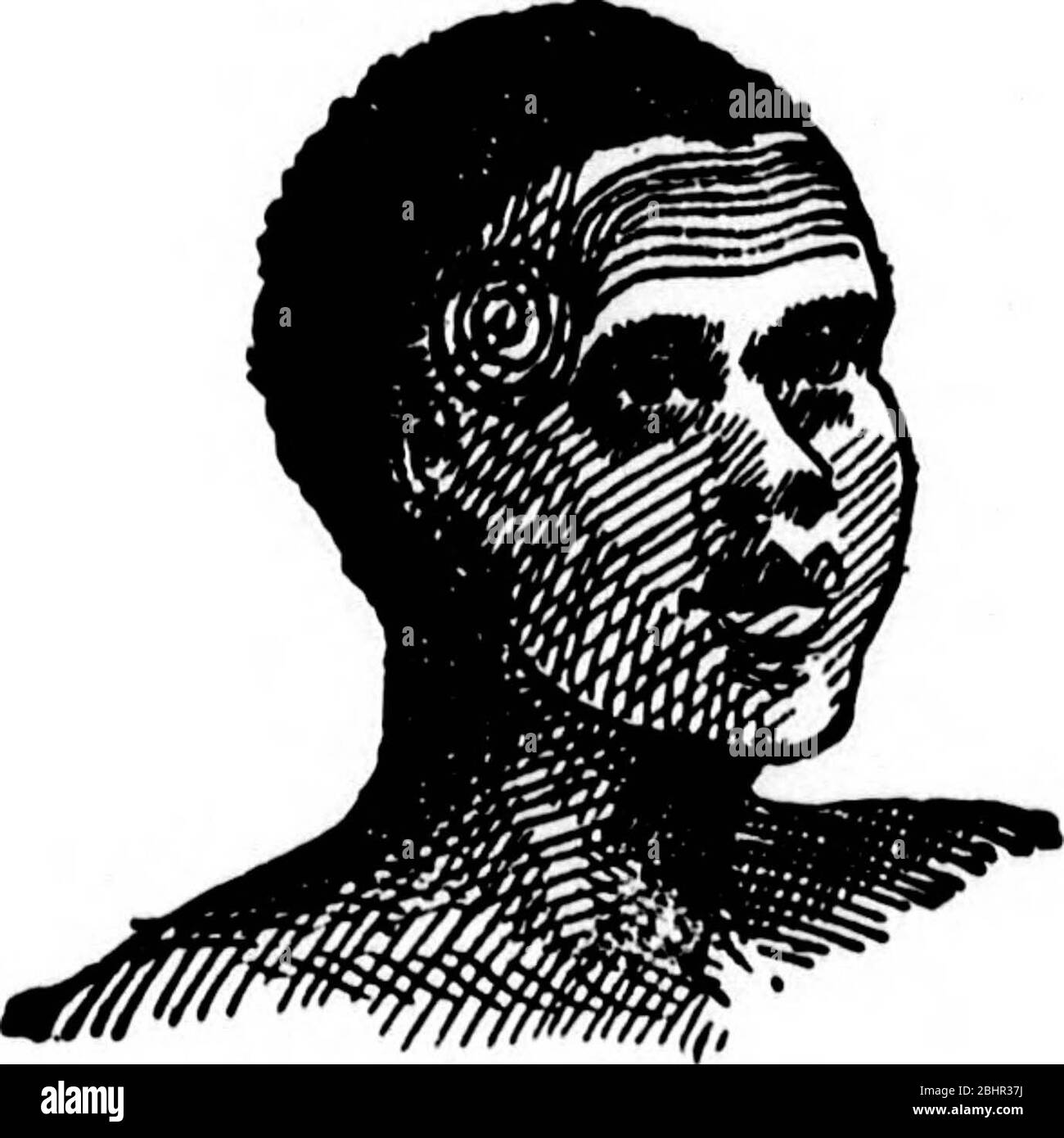 "The story of the rear column of the Emin Pasha relief expedition ...