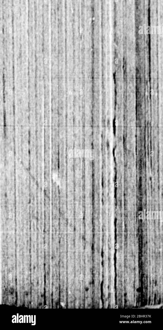 "The story of the rear column of the Emin Pasha relief expedition ...