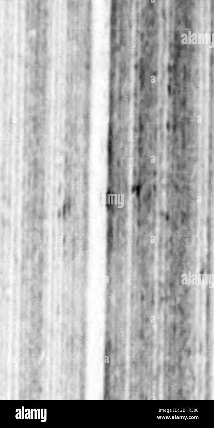 "The story of the rear column of the Emin Pasha relief expedition ...