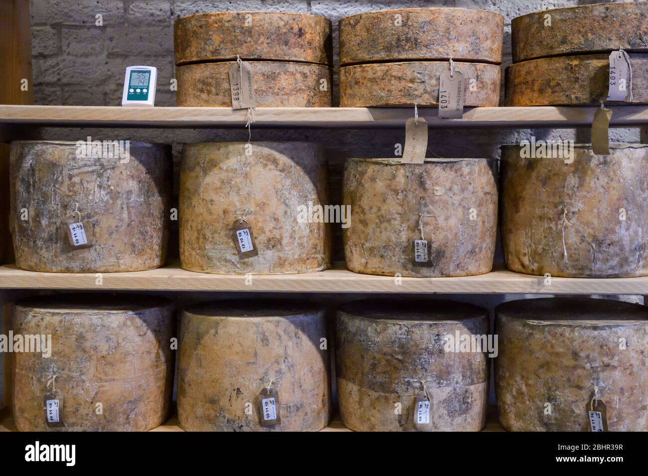 English cheddar cows milk cheese hi-res stock photography and images ...