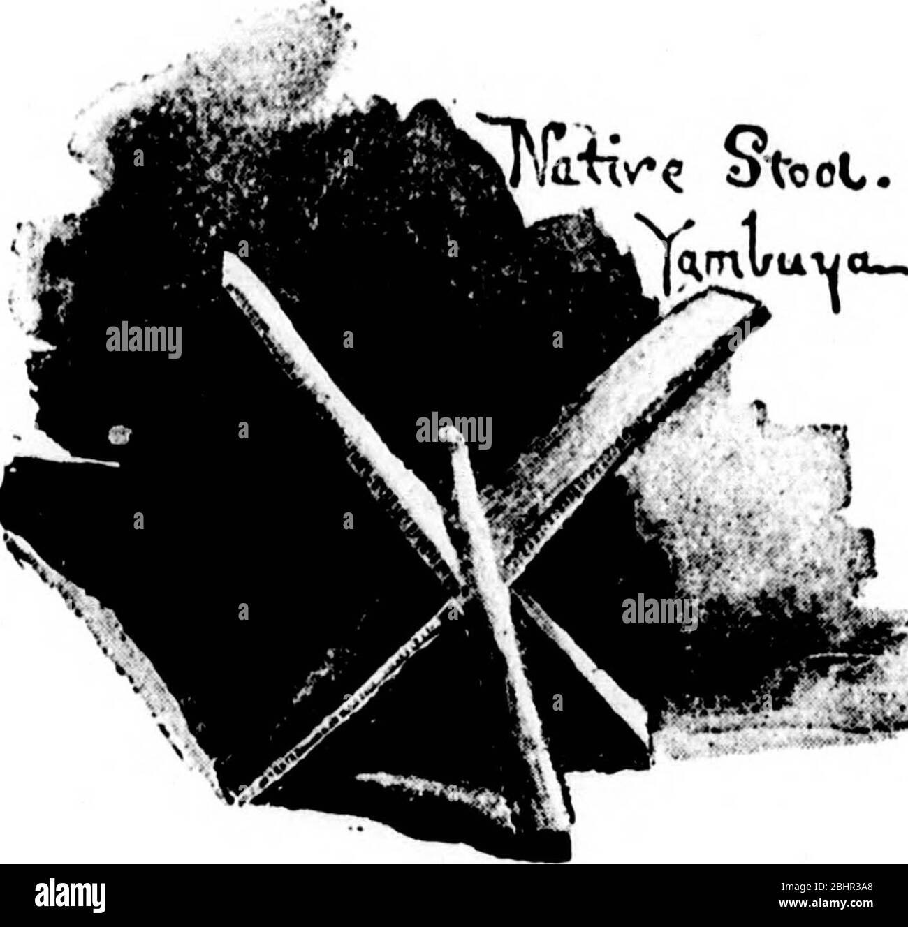 "The story of the rear column of the Emin Pasha relief expedition ...