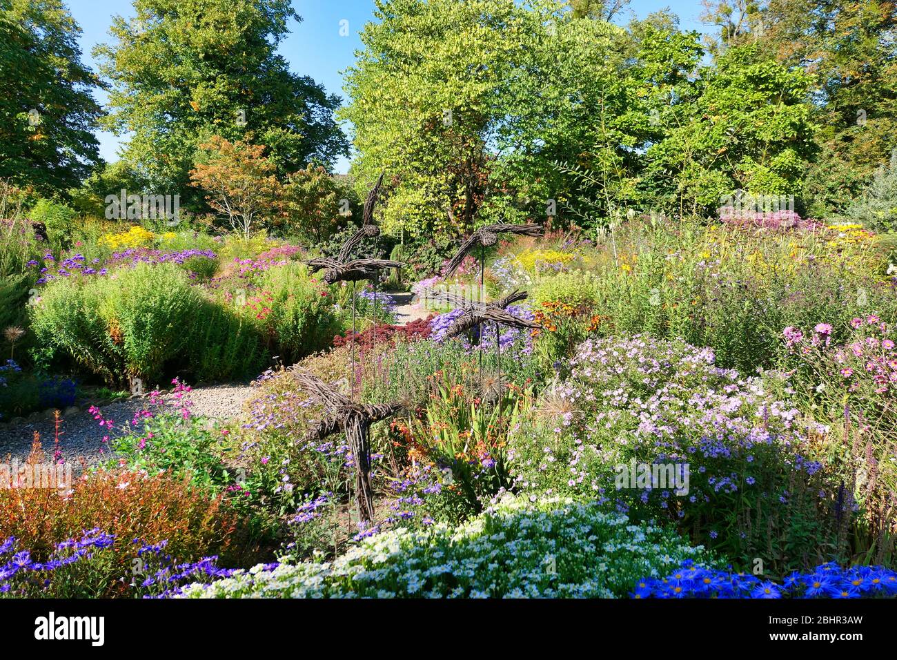 Carpet planting hi-res stock photography and images - Alamy