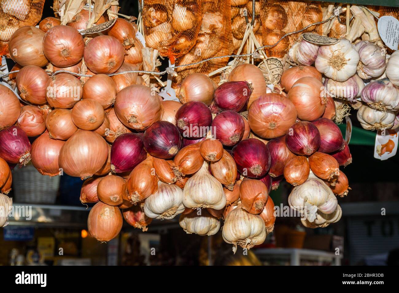 Background of red and white onions. Close up red onion and garlic at ...